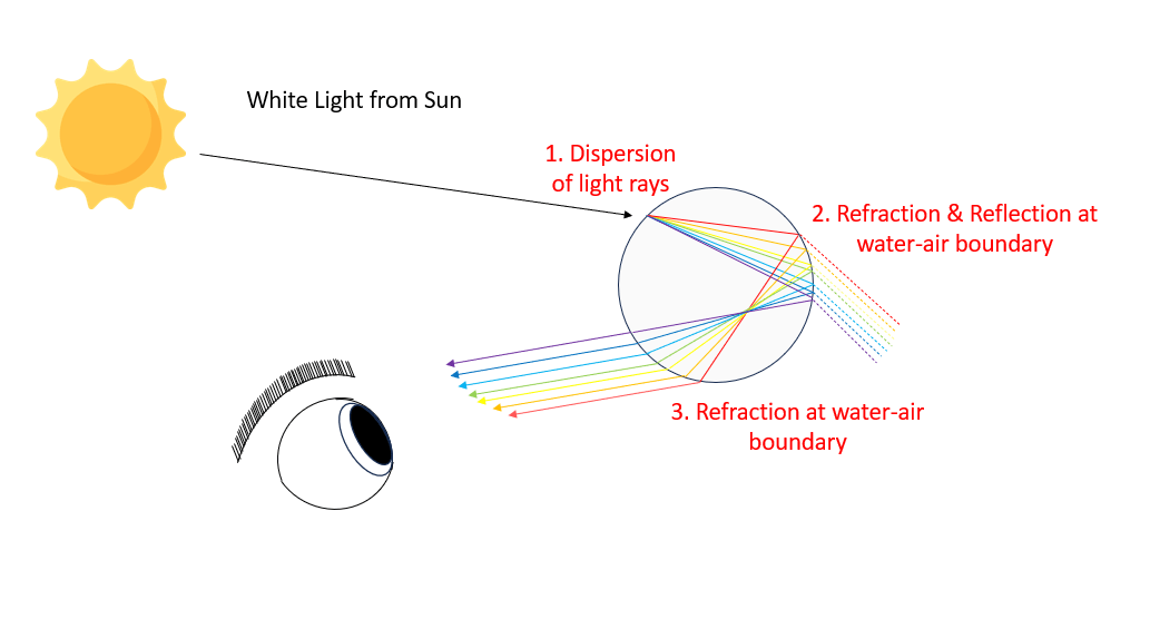 Total internal reflection simulator - Explerify.com