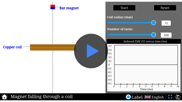 Class 12 simulator - Explerify.com